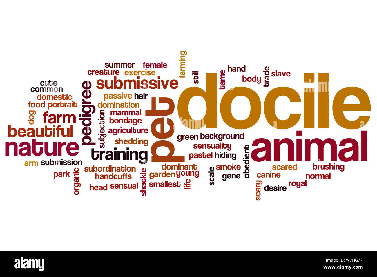 Docile word cloud concept Stock Photo - Alamy