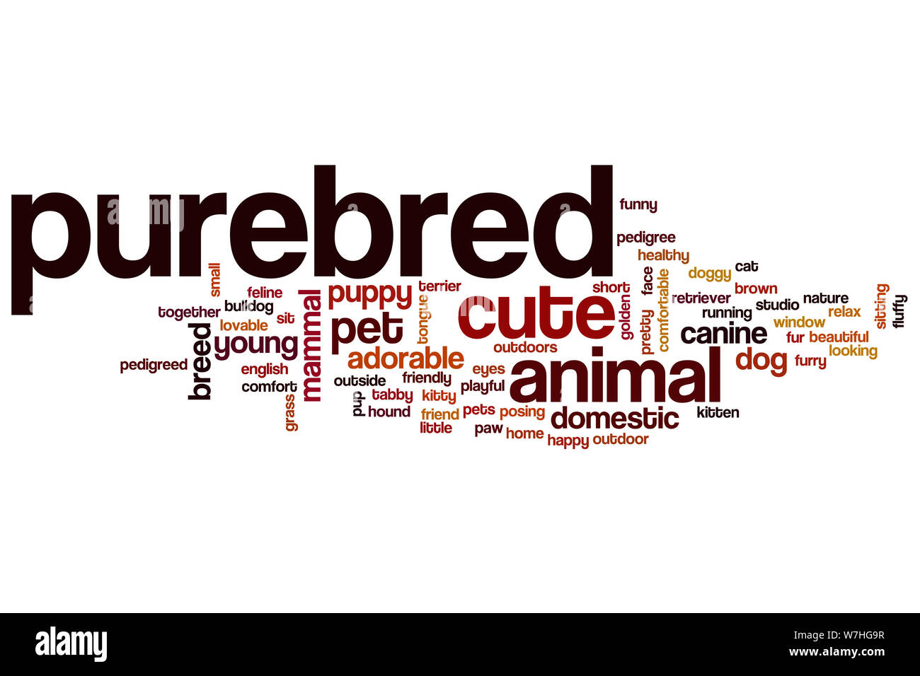 Wordcloud face hi-res stock photography and images - Alamy