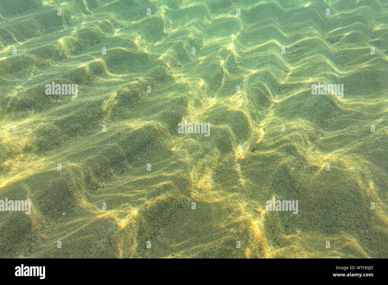 Underwater shallow sandy ocean floor hi-res stock photography and ...