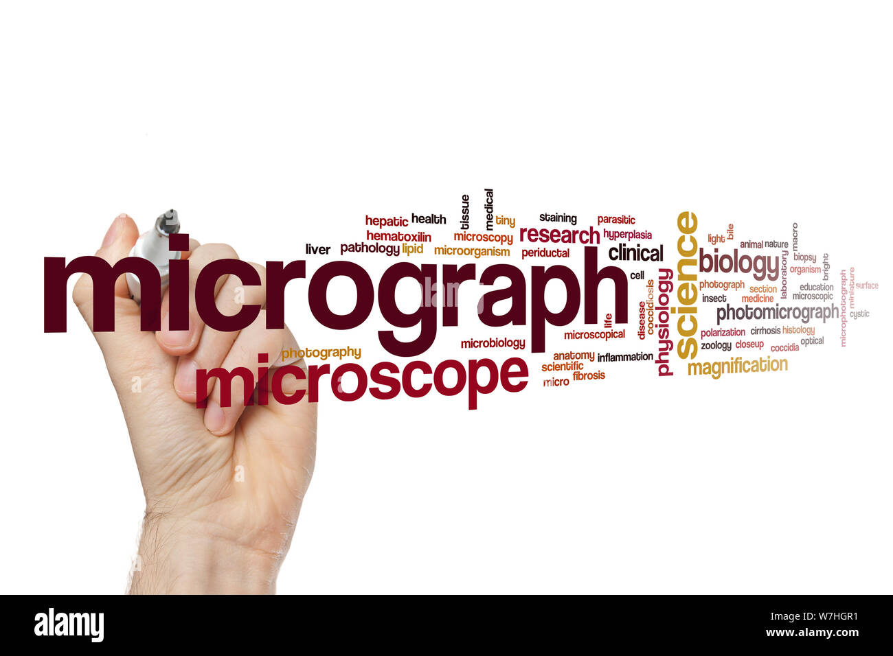 Photomicrograph animal cell hi-res stock photography and images - Alamy