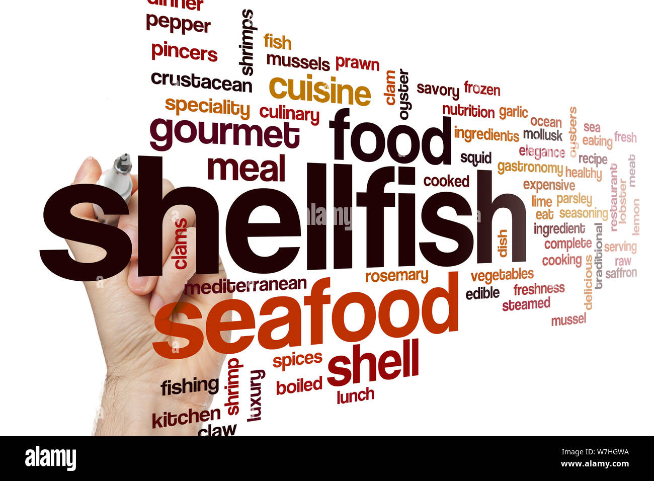 Shellfish word cloud Stock Photo - Alamy