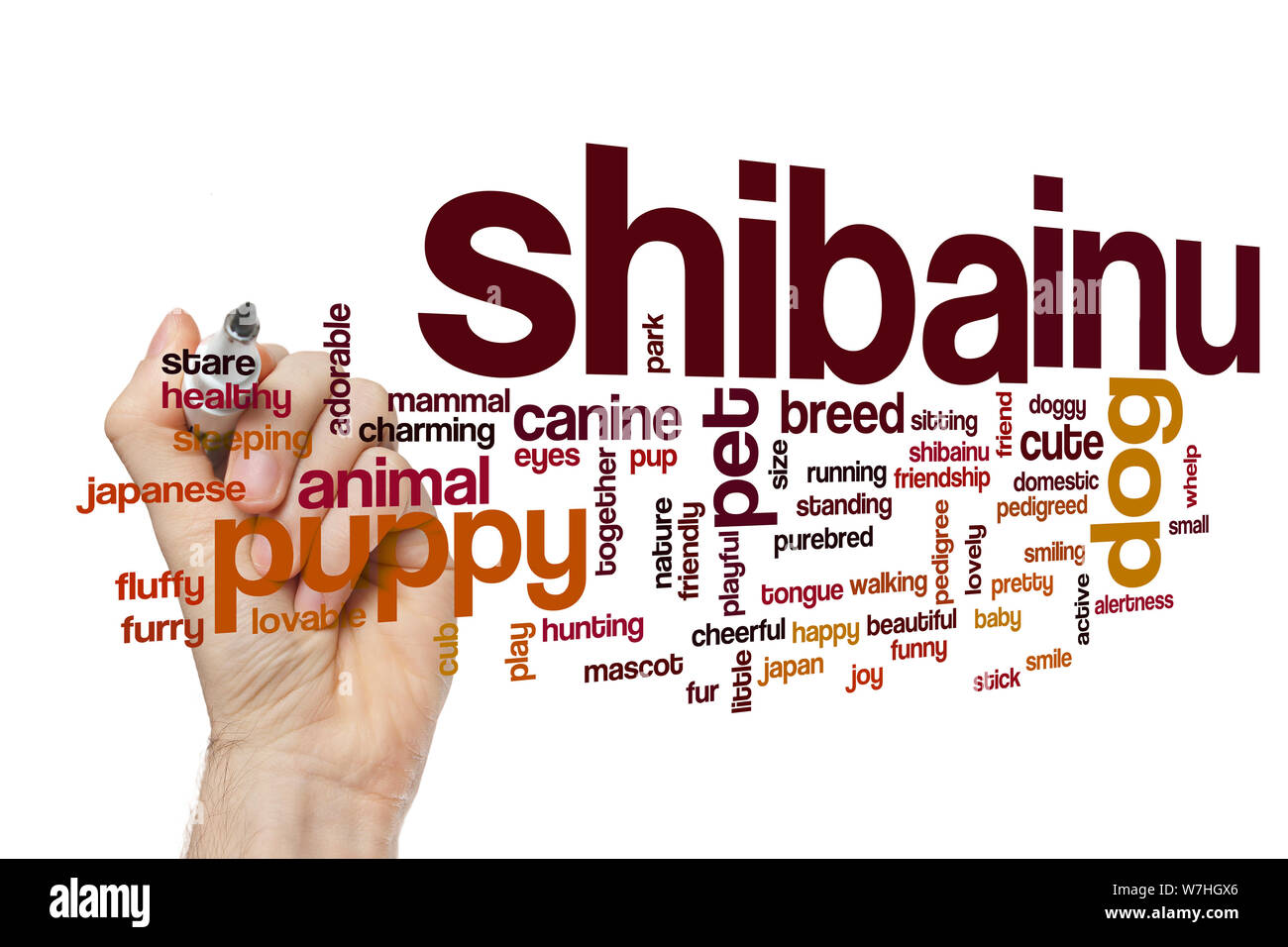 Shiba inu word cloud Stock Photo - Alamy