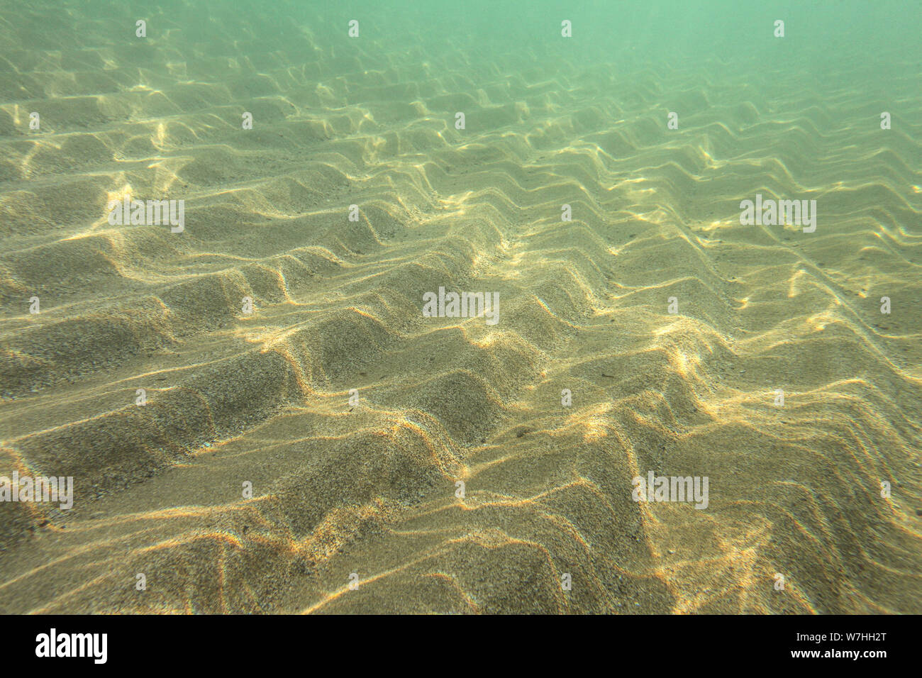 Underwater photo, sun shining on sea floor in shallow water, sand ...
