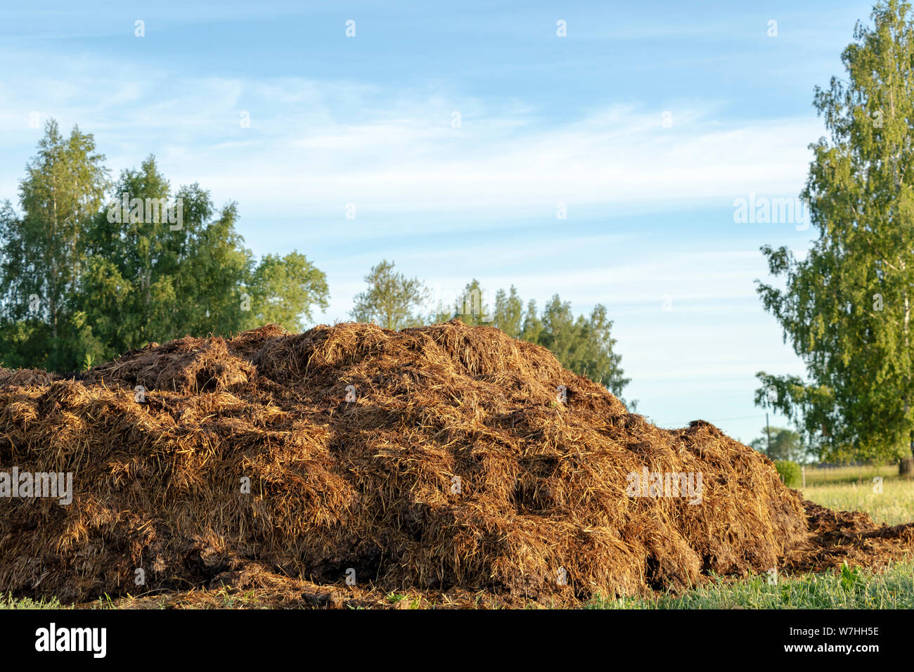 Fresh heap of manure hi-res stock photography and images - Alamy