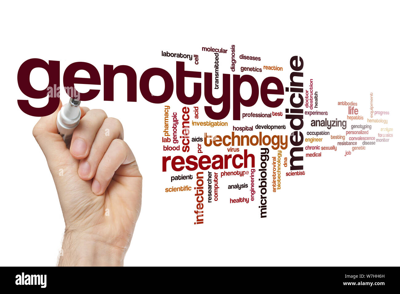 Genotype word cloud concept Stock Photo - Alamy