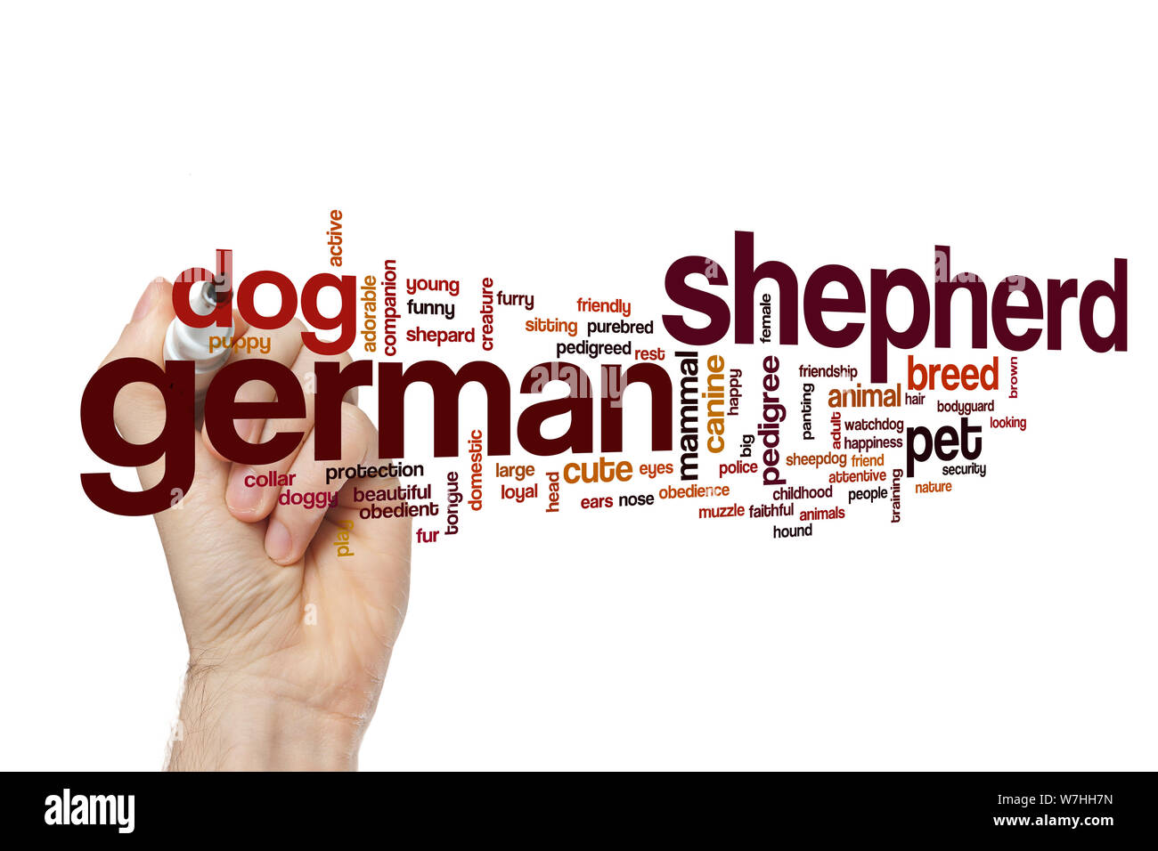 German shepherd word cloud Stock Photo - Alamy