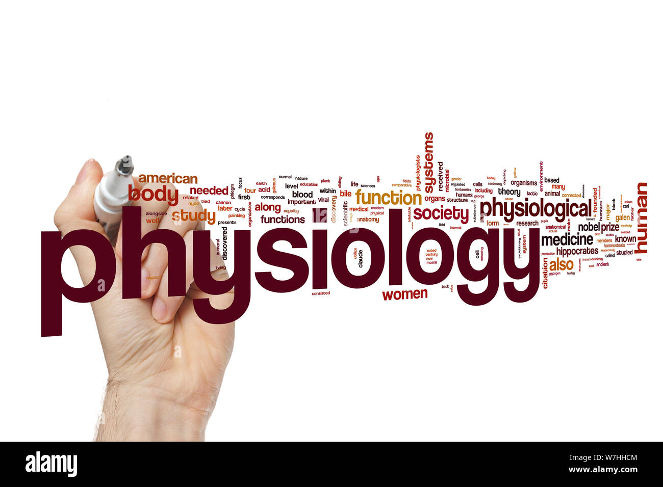 Physiology Word Cloud Stock Photo Alamy Physiology Word Cloud Stock Photo Alamy