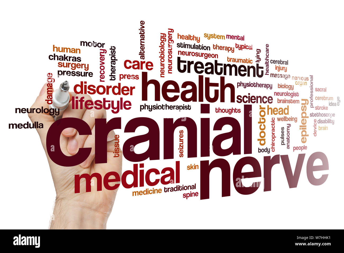 Cranial sacral Cut Out Stock Images & Pictures - Alamy