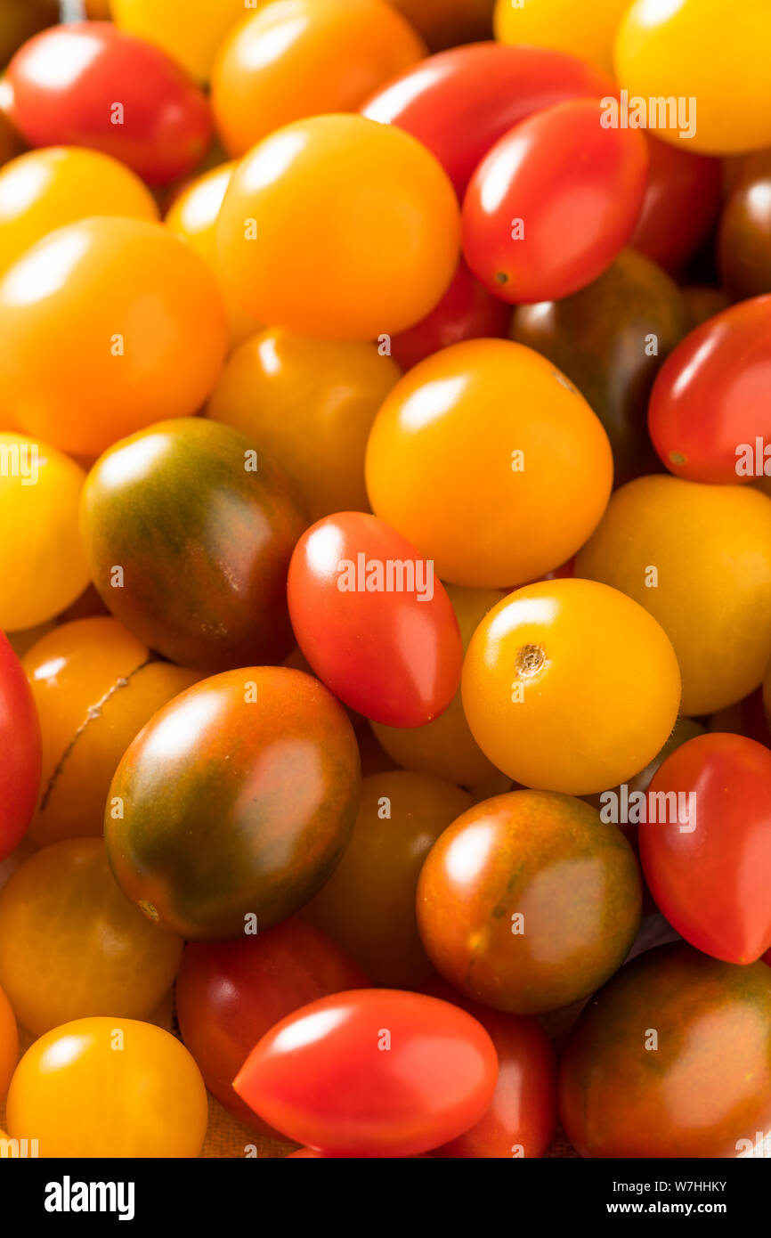 Raw Organic Heirloom Cherry Tomatoes Ready to Eat Stock Photo - Alamy