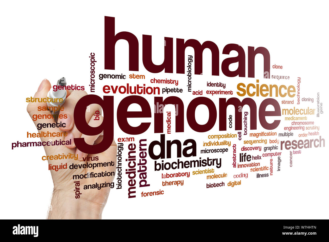 Sequence human genome Cut Out Stock Images & Pictures - Alamy