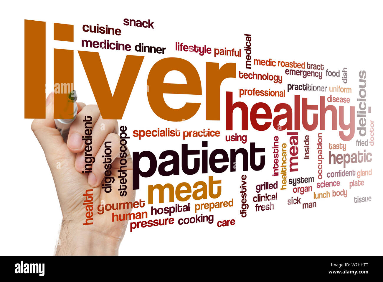 Liver word cloud Stock Photo - Alamy