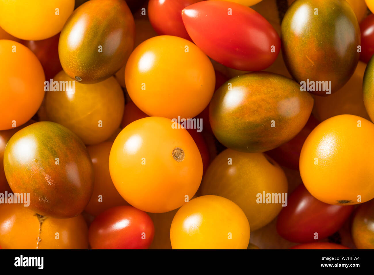 Raw Organic Heirloom Cherry Tomatoes Ready to Eat Stock Photo - Alamy