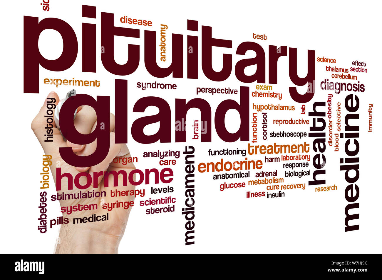 Pituitary gland word cloud Stock Photo - Alamy
