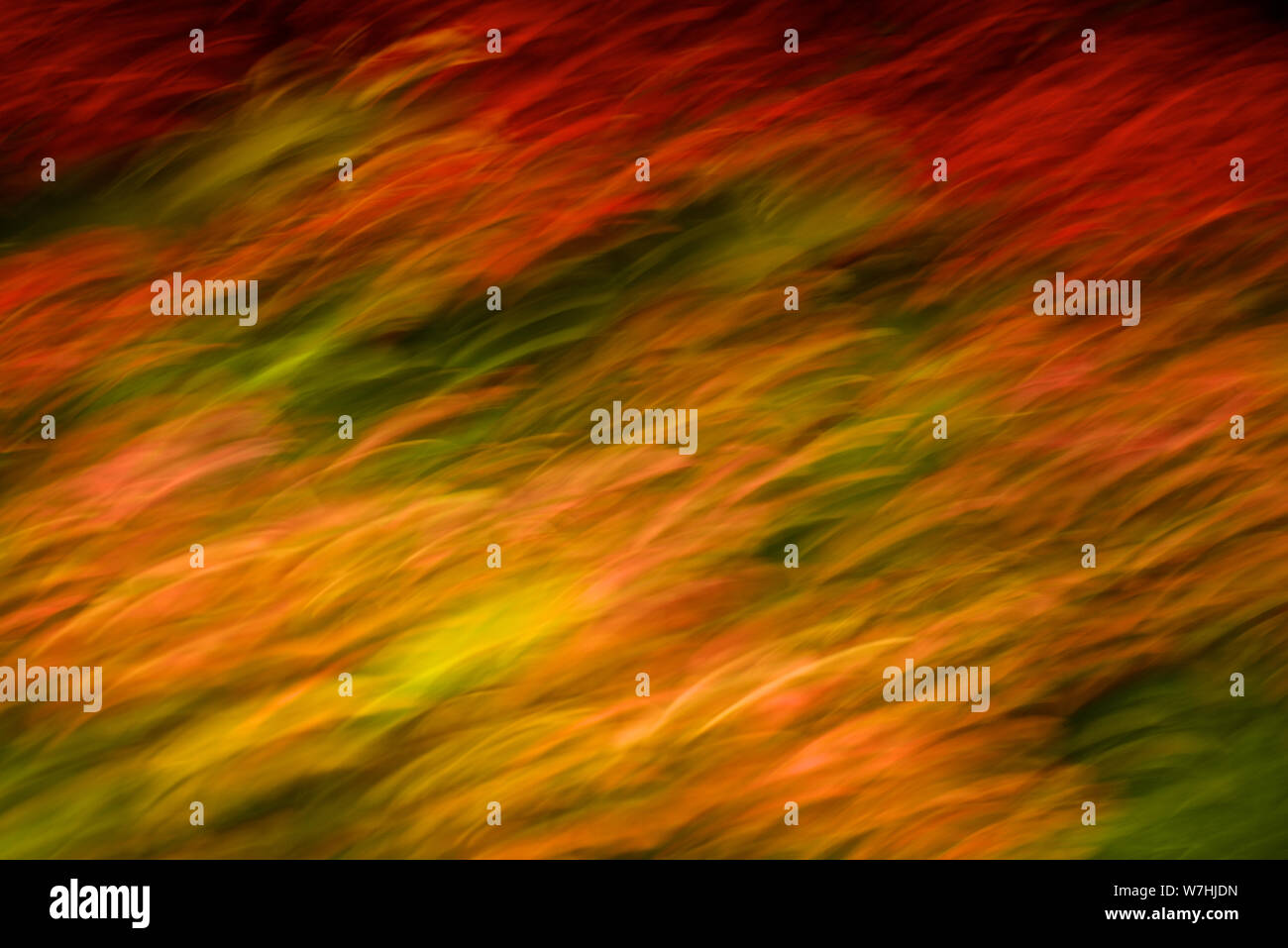 Abstract Autumn Colours Stock Photo - Alamy