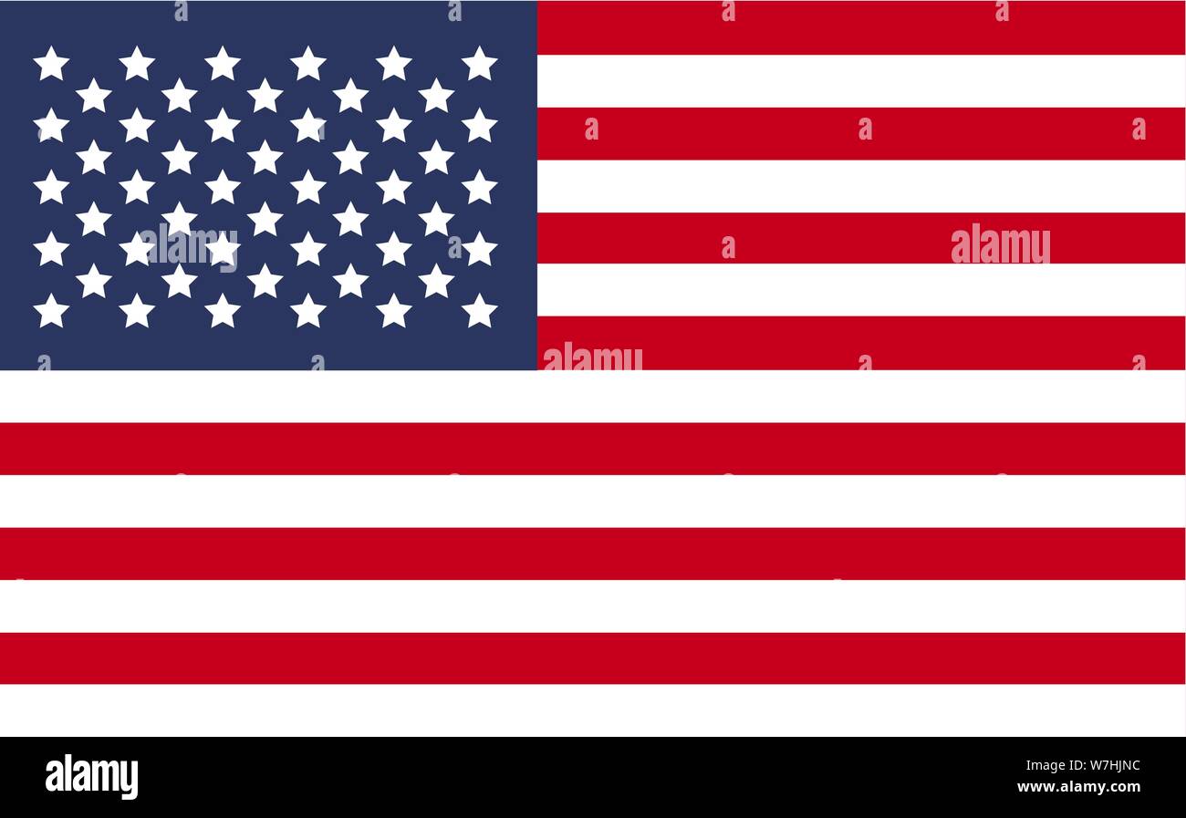 United State of America USA flag isolated vector in official colors and ...