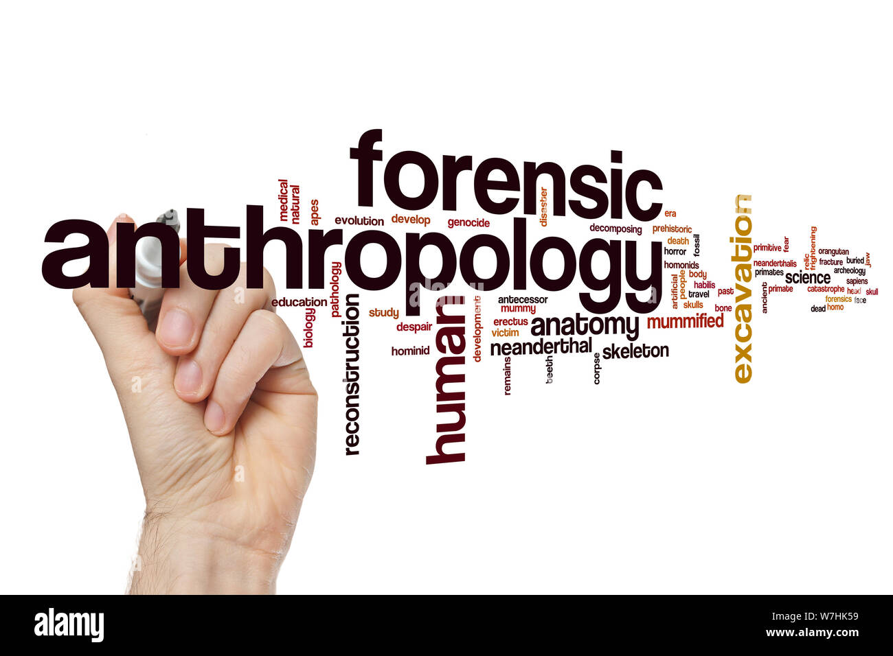 Forensic anthropology hi-res stock photography and images - Alamy