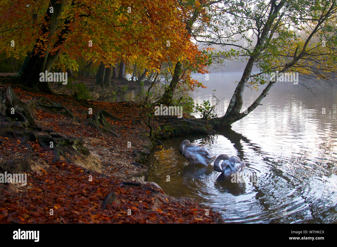 Lake slough hi-res stock photography and images - Alamy
