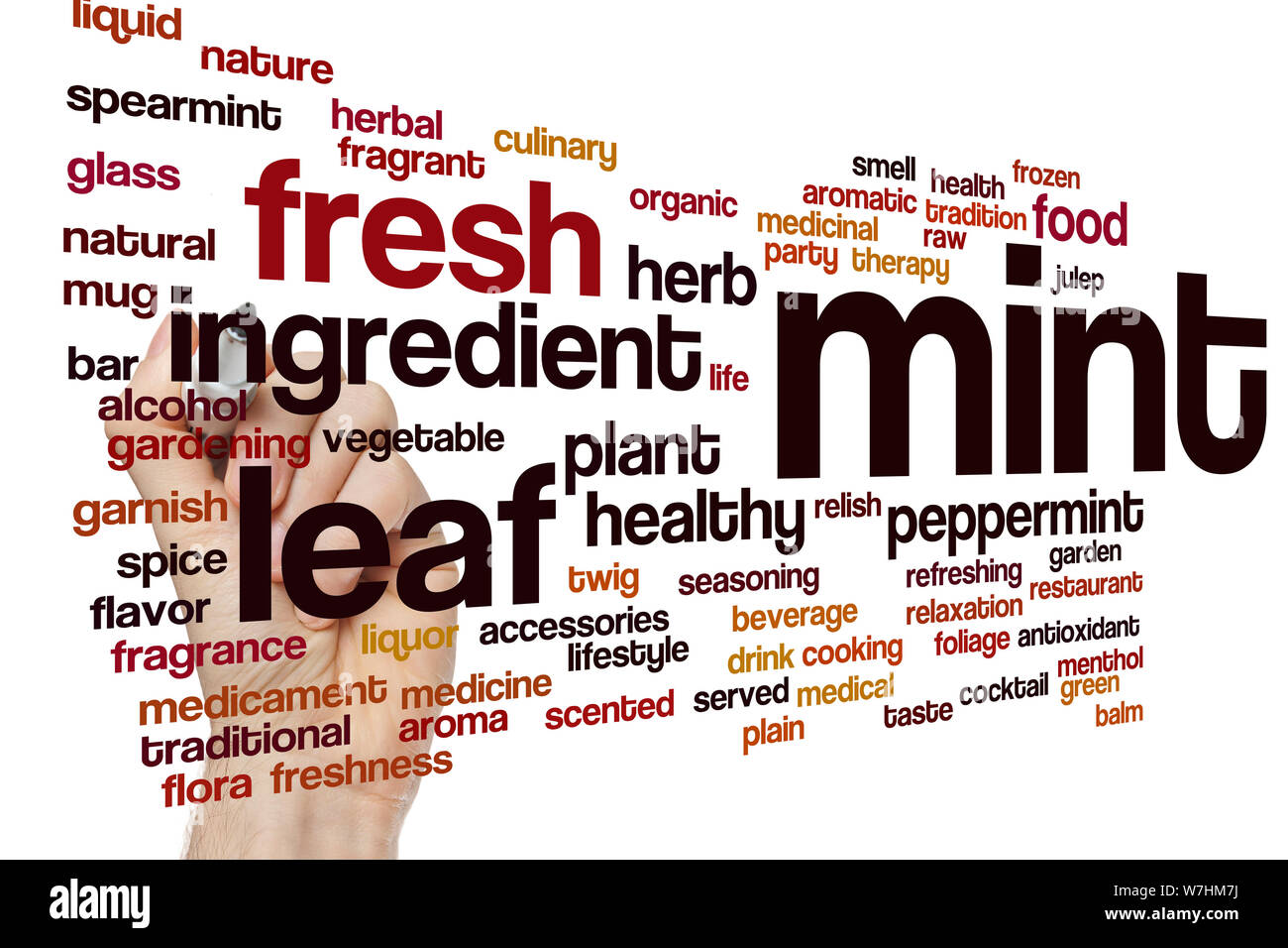 Mint word cloud concept Stock Photo - Alamy