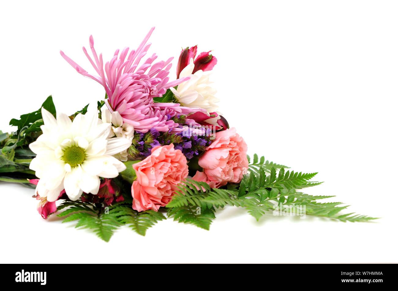 mix flower on white background Stock Photo - Alamy