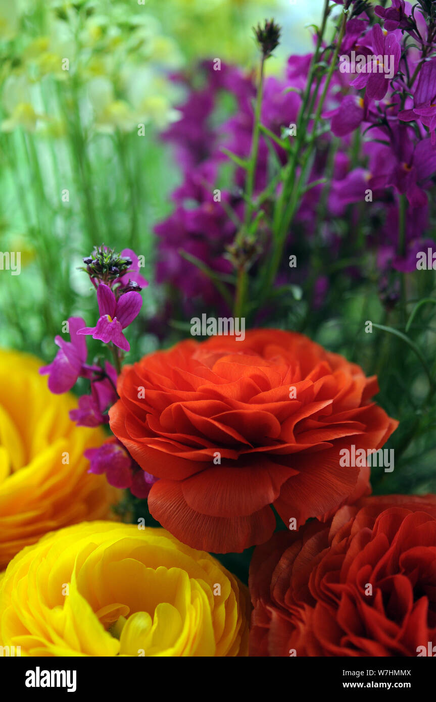 Pretty mix hi-res stock photography and images - Alamy