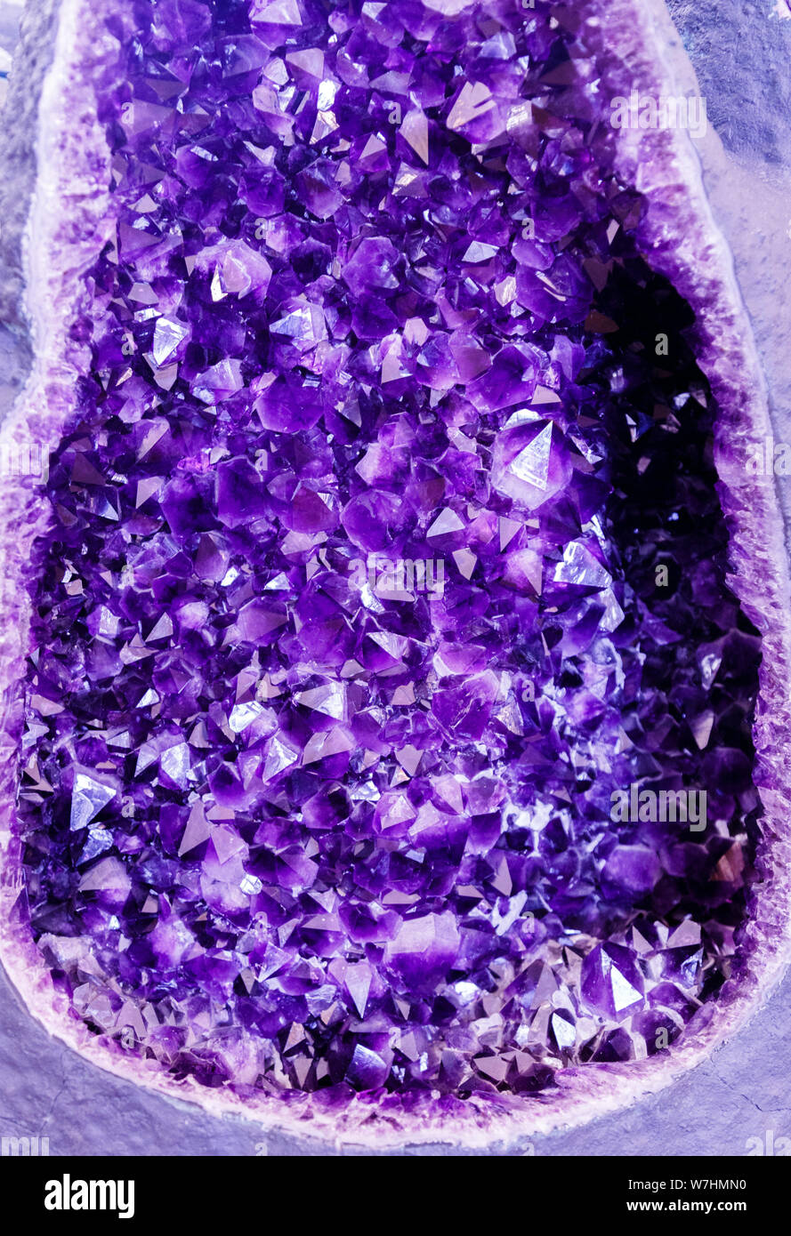 Amethyst purple crystal. Mineral crystals in the natural environment ...
