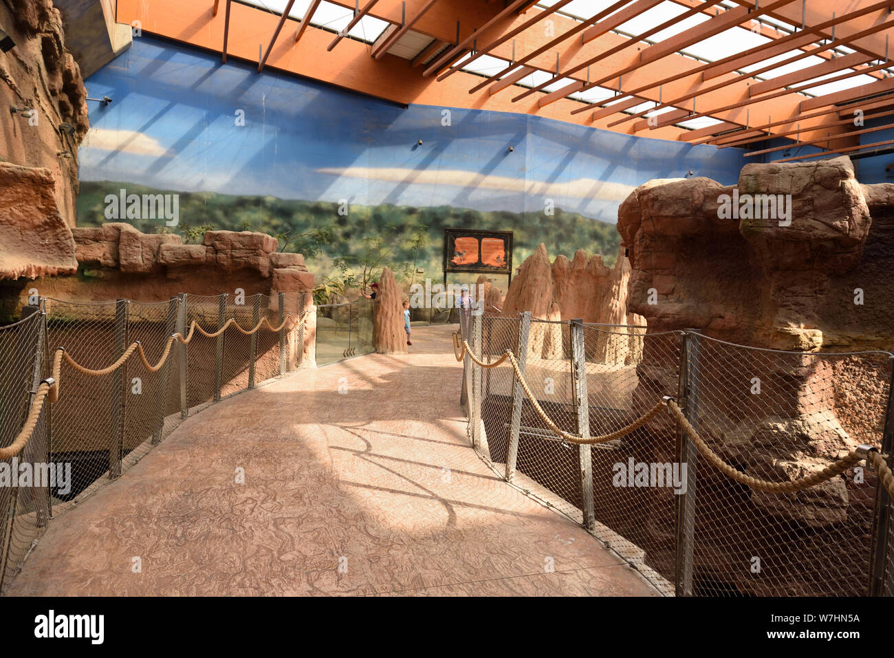 Wroclaw zoo in afrykarium hi-res stock photography and images - Alamy