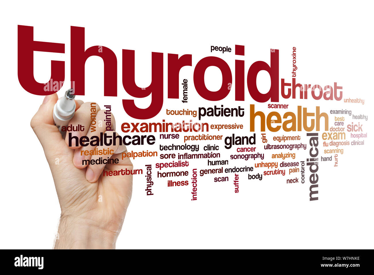 Thyroid word cloud concept Stock Photo - Alamy