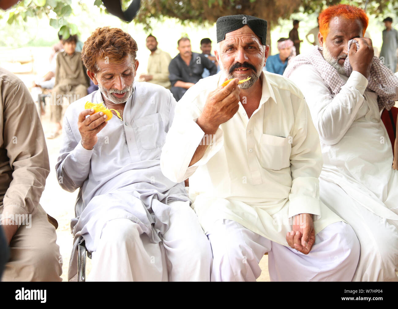 Islamabad. 15th July, 2019. People enjoy fresh mangoes at an orchard in ...