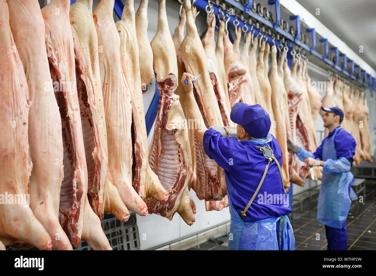 Butcher cutting pork at the meat manufacturing Stock Photo - Alamy