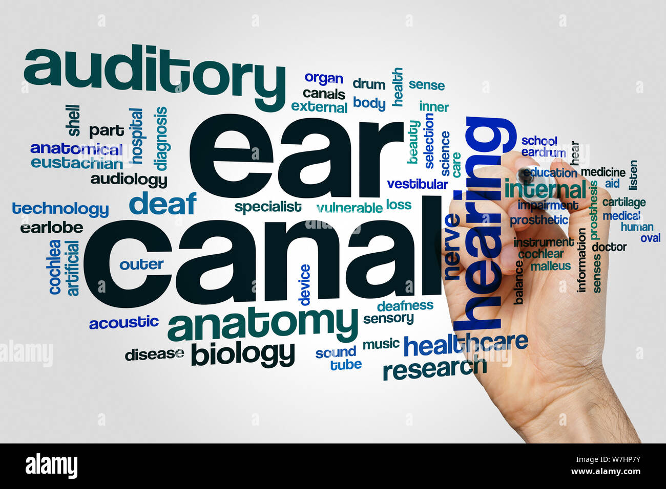 Ear canal word cloud concept Stock Photo - Alamy