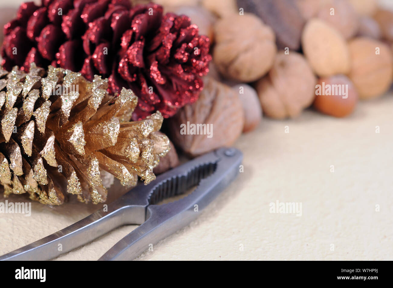 Crunch shells hi-res stock photography and images - Alamy