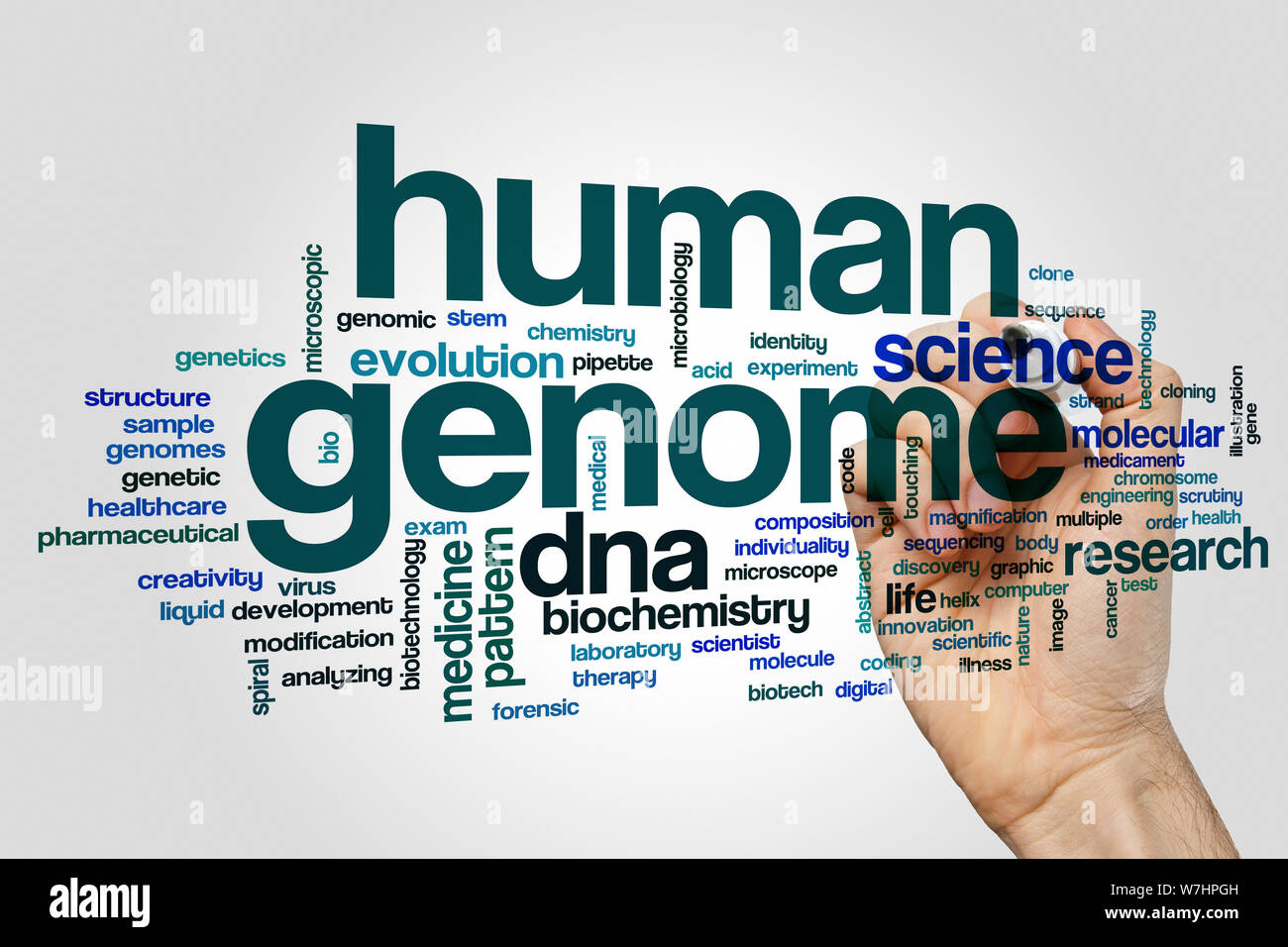 Human genome word cloud concept Stock Photo - Alamy