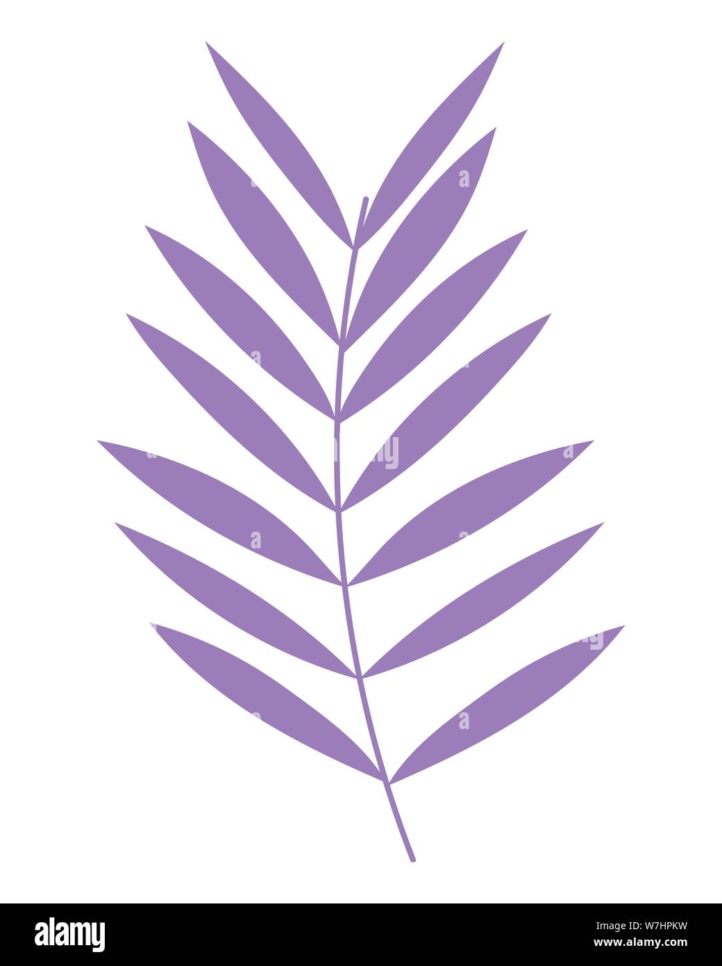 Leaf design, Plant floral garden nature decoration ornament and season ...