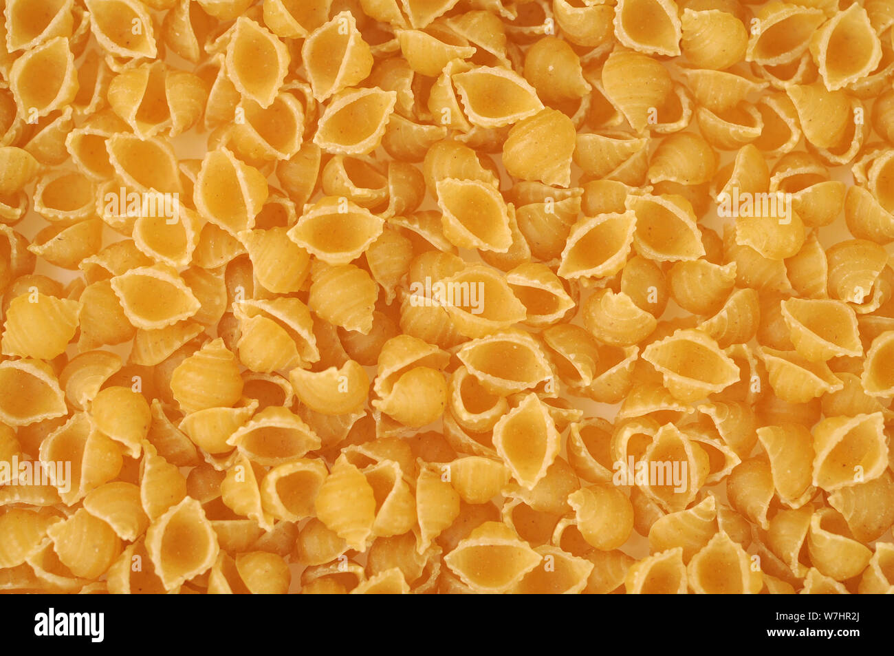 shell shape pasta for background uses Stock Photo - Alamy