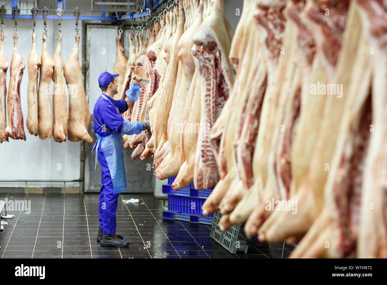 Butcher cutting pork at the meat manufacturing Stock Photo - Alamy