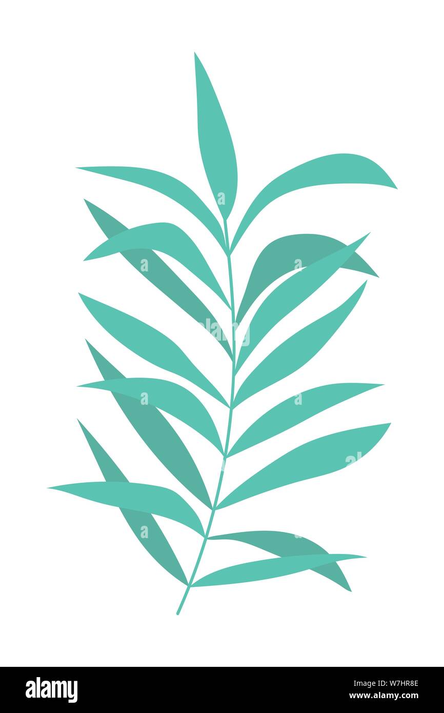 Leaf design, Plant floral garden nature decoration ornament and season ...