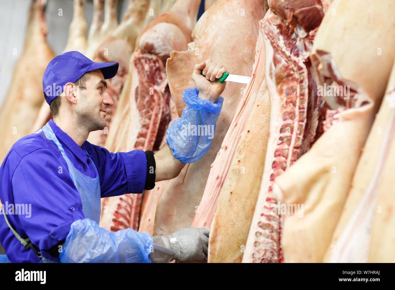 Butcher cutting pork at the meat manufacturing Stock Photo - Alamy