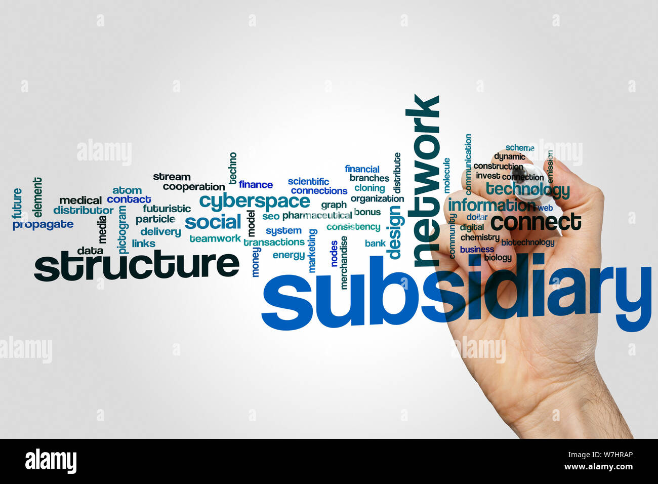 Subsidiary word cloud concept Stock Photo - Alamy
