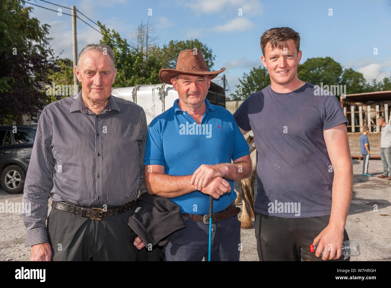 Irish pony sales hi-res stock photography and images - Alamy