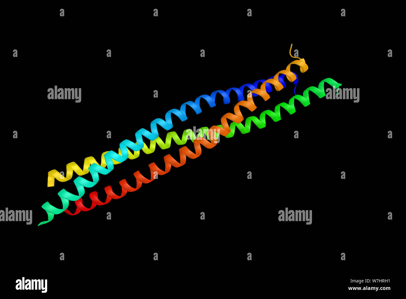 Myotonin-protein kinase, an enzyme which exists both as a membrane ...