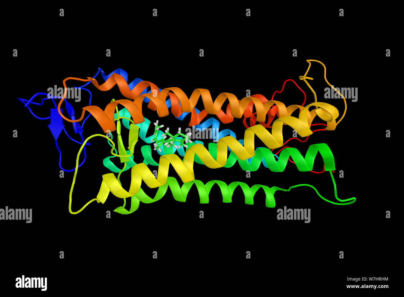 Blue-sensitive opsin is a protein that in humans is encoded by the ...