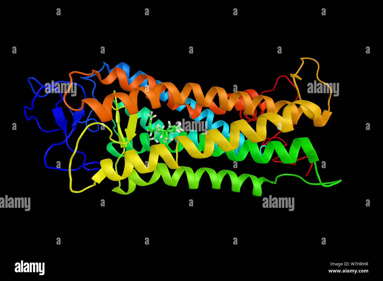 Secondary protein structure hi-res stock photography and images - Alamy