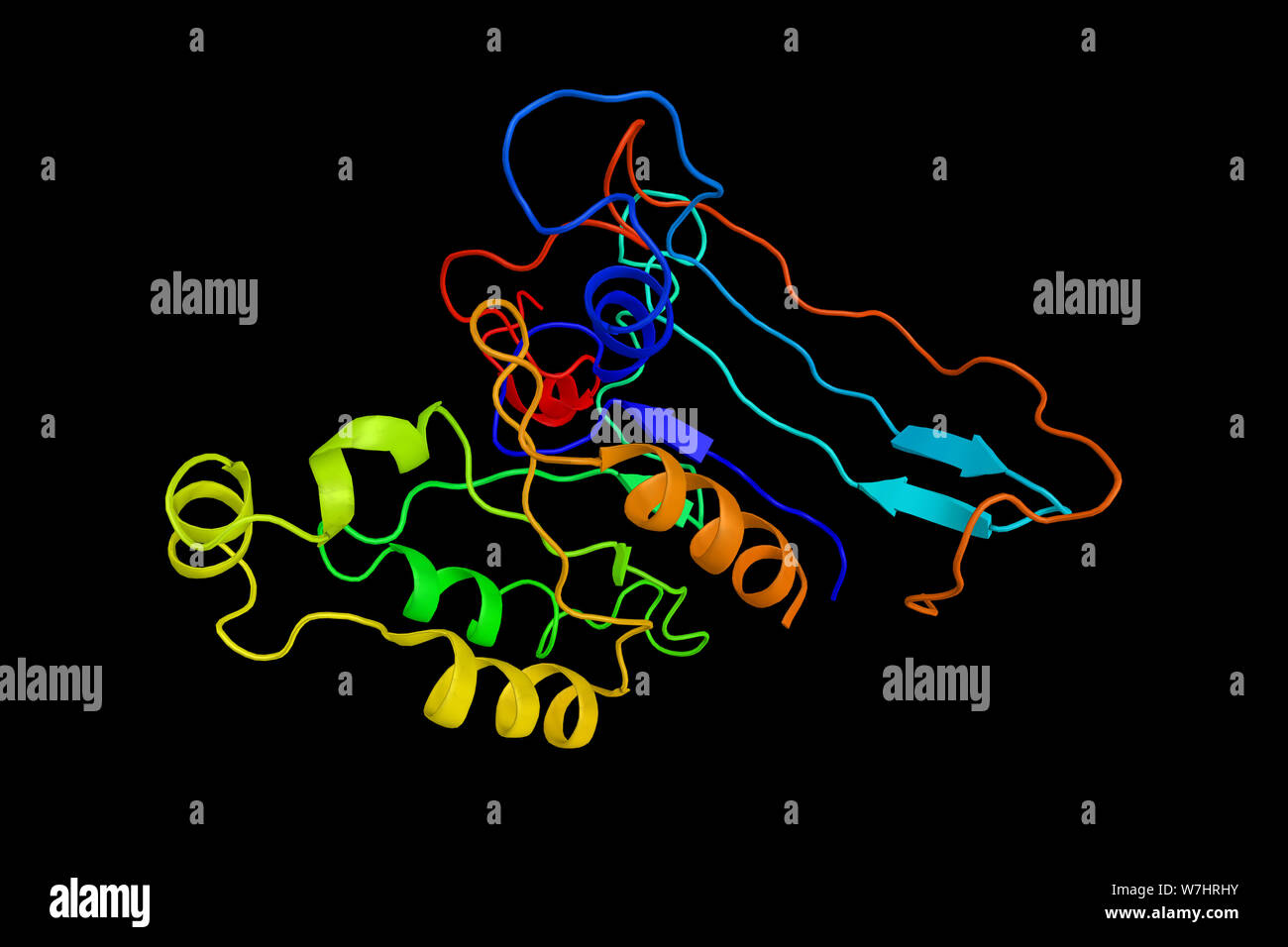 PAK3, preferentially expressed in neuronal cells and involved in ...