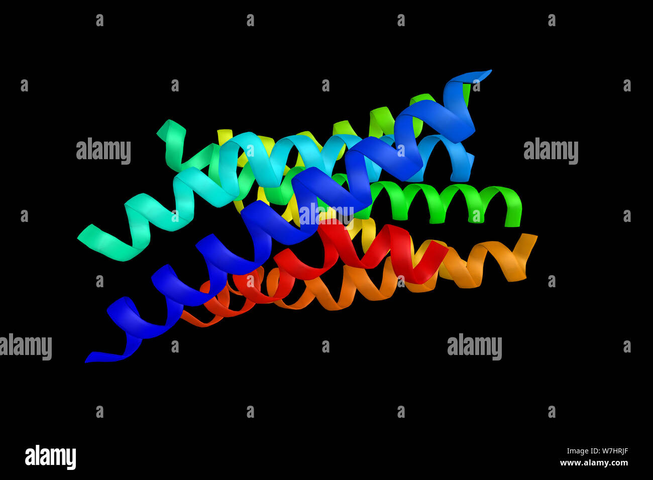 Neuropeptide Y receptor Y1, a protein connected with anti-obesity drugs ...
