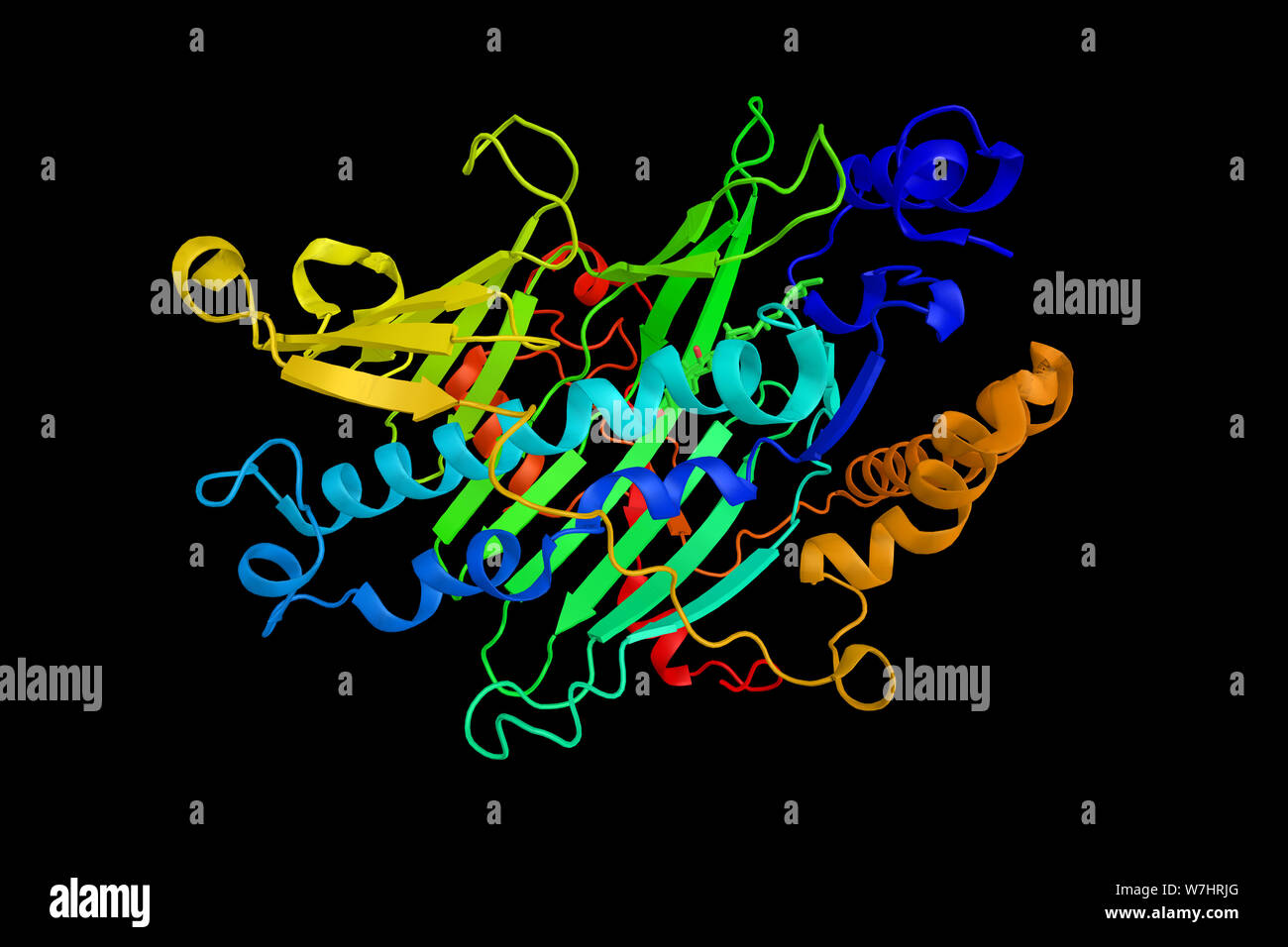 The oxysterol-binding protein (OSBP)-related proteins (ORPs) are a ...