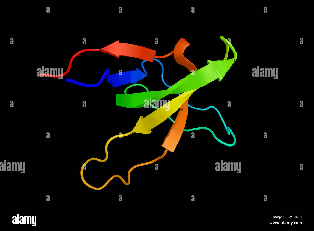 Sarcomere hi-res stock photography and images - Alamy