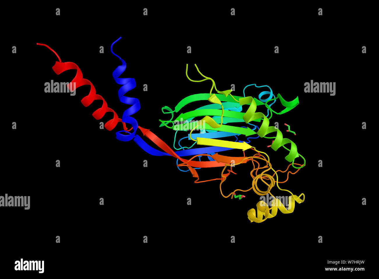 Actin structure hi-res stock photography and images - Alamy