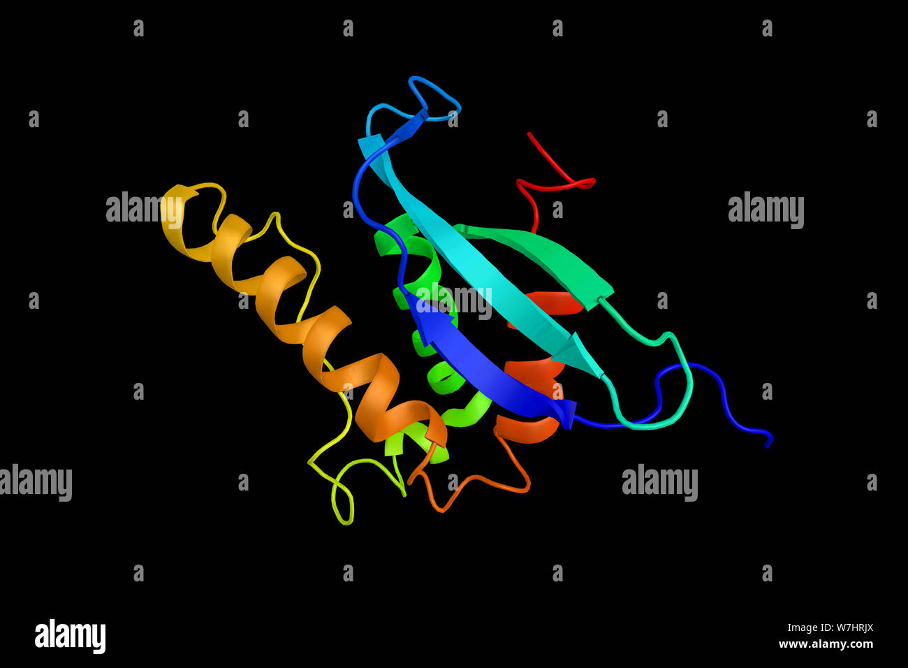 Nadph oxidase hi-res stock photography and images - Alamy