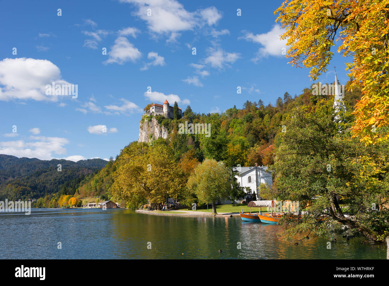 Trees in autumn colors at the shore of Lake Bled and Bled Castle on a ...