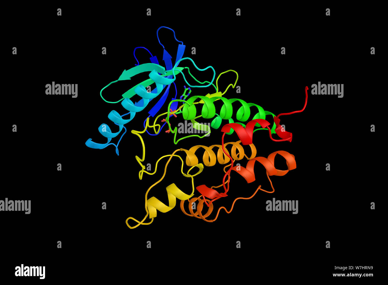 Phosphorylase b kinase gamma catalytic chain, skeletal muscle isoform ...
